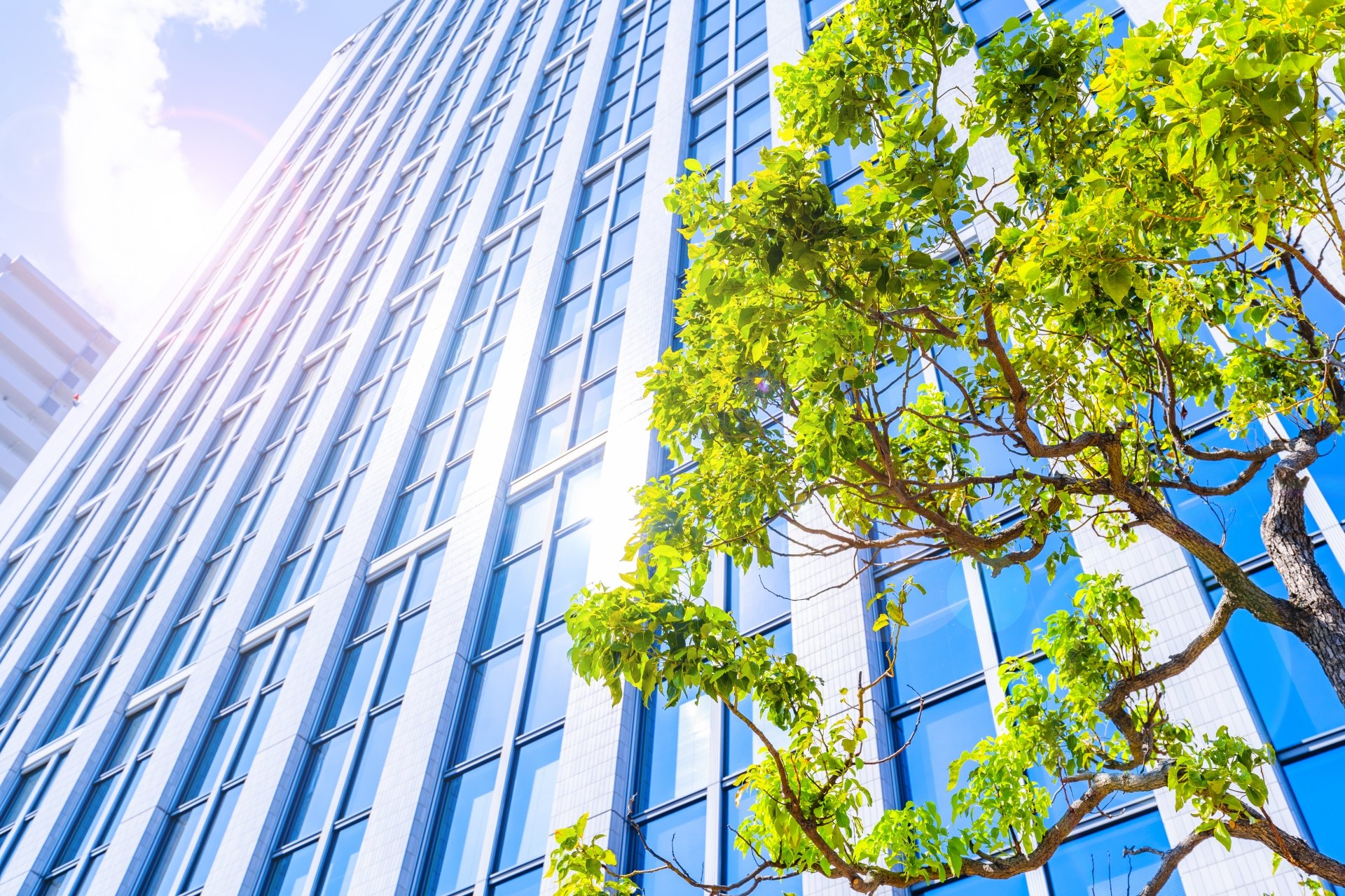 TOC株式会社 - TOC株式会社は、ネットワークソリューション事業を通じて企業の業務効率化とコスト削減をサポート。ハードウェア、セキュリティ、WEBデザインまでワンストップで提供し、快適な ...